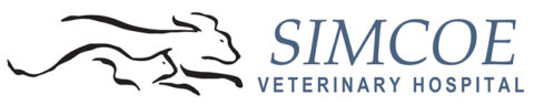 Best Vet Hospital In Barrie, ON | Simcoe Veterinary Hospital